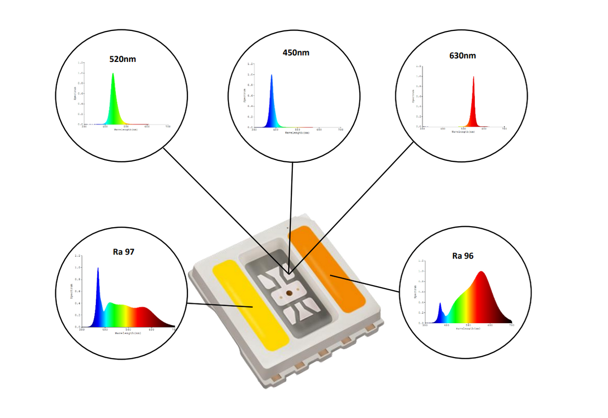 YUJILEDS® 5-in-1 RGBWW LED SMD & LED Strip with Integrated Full Chroma