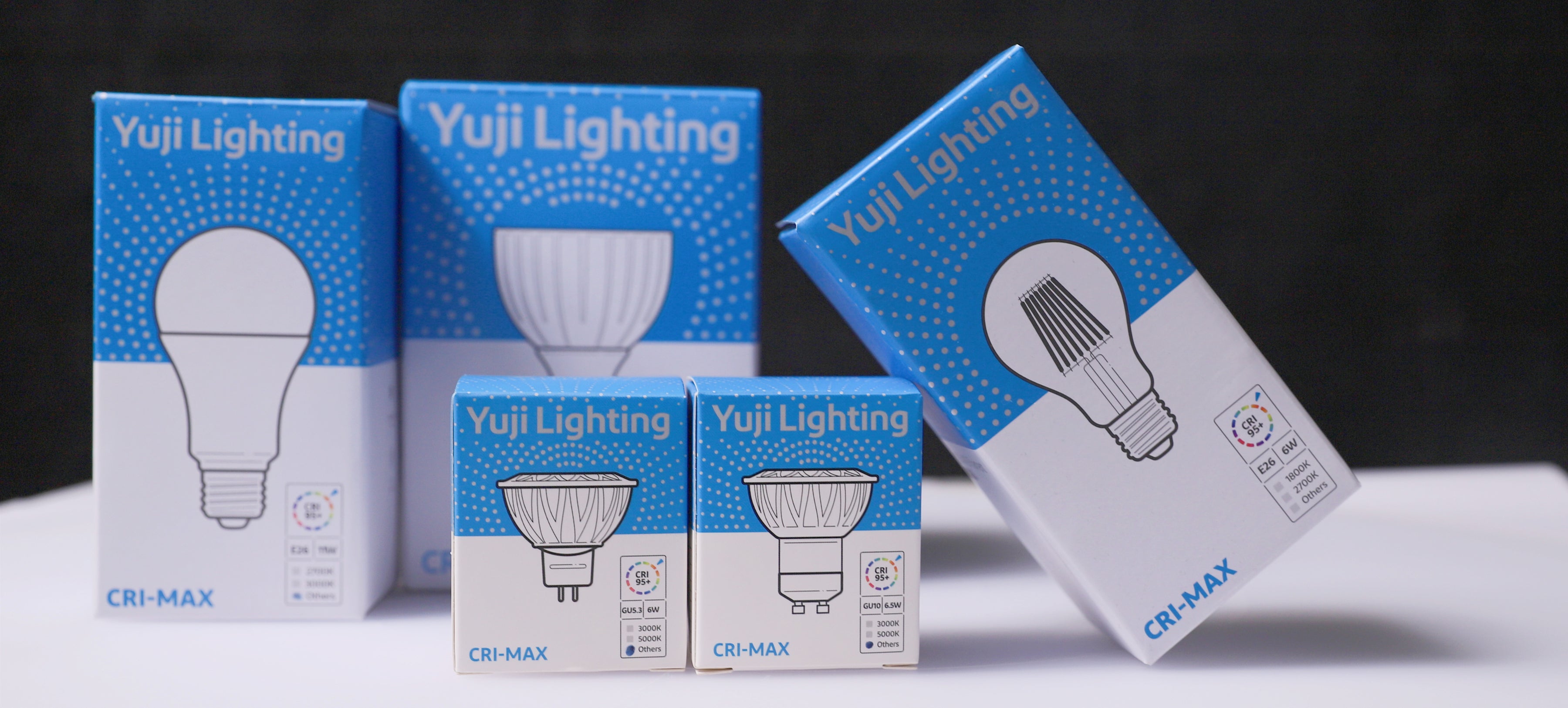 How do I Read the LED Light Bulb Label?