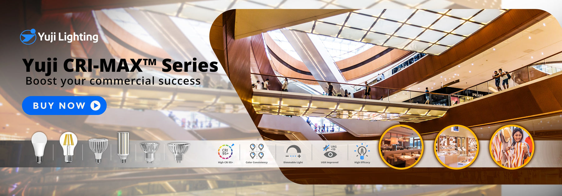 YUJILEDS® LED COBs