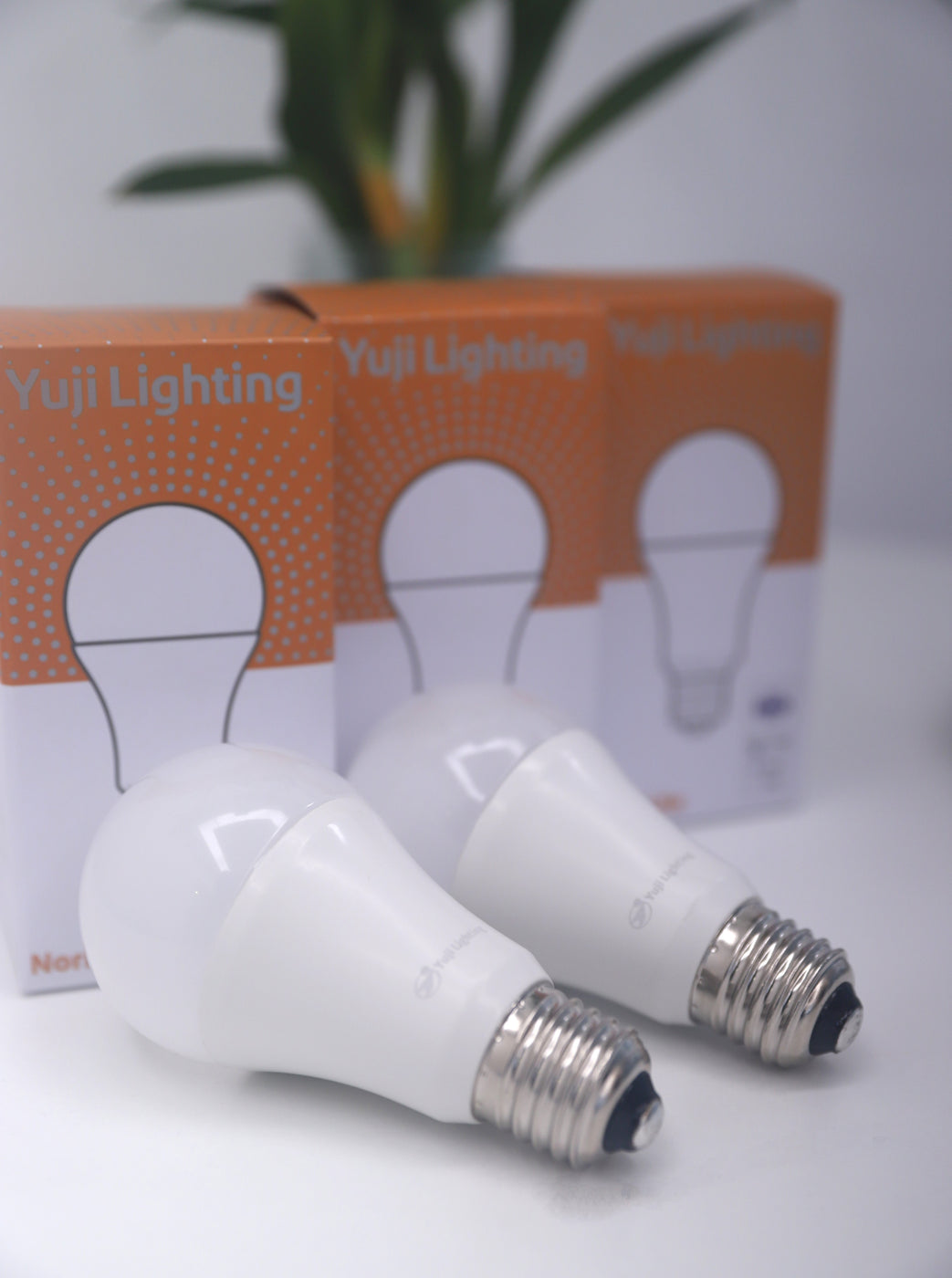 NormLite™ CRI 98 D50/5000K Standard Illuminant LED Bulb (ISO3664:2000)