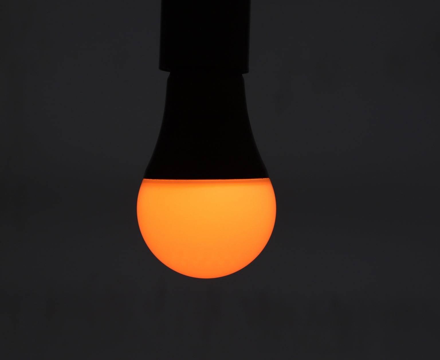 Well24™ Nite LED Lights