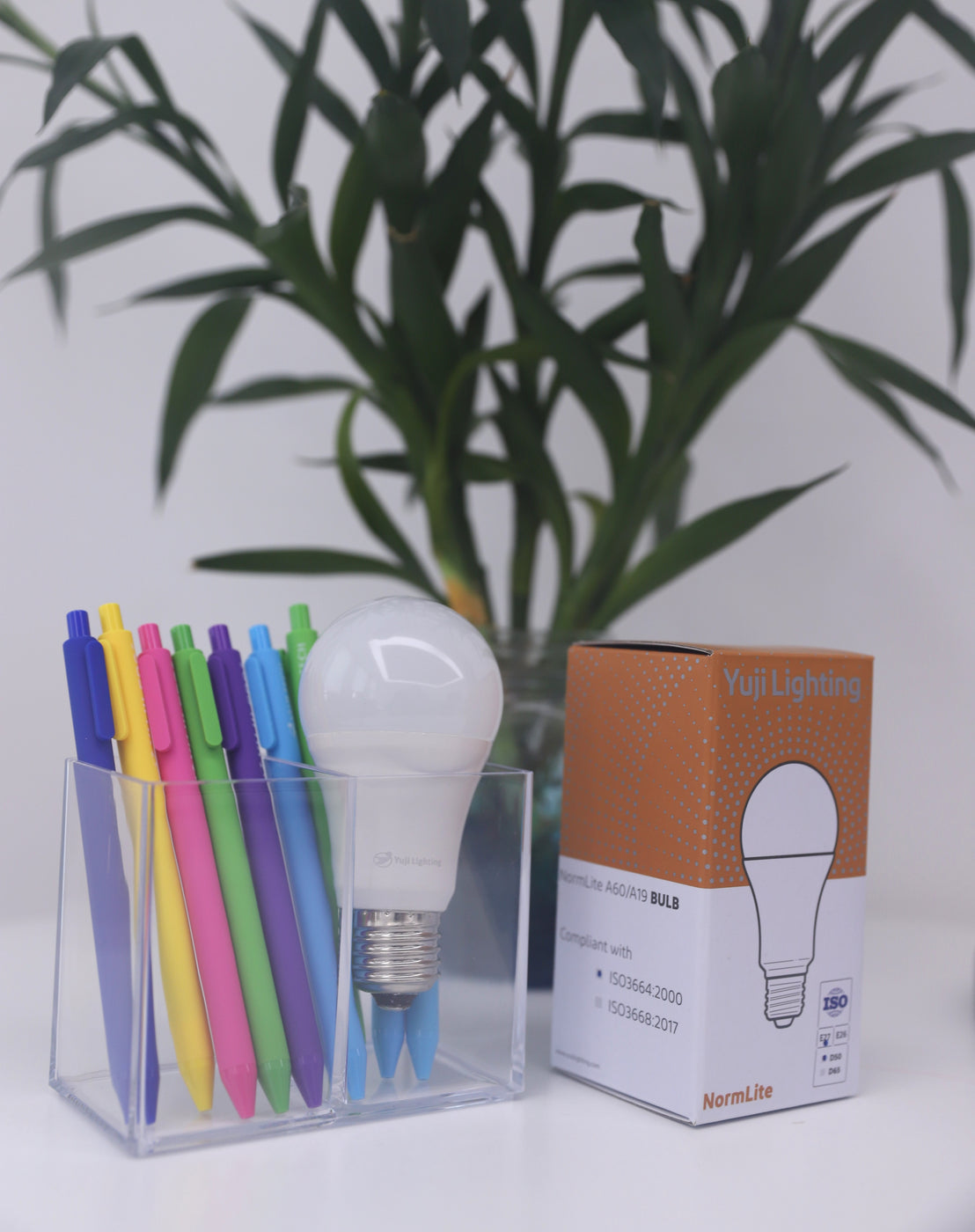 NormLite™ CRI 98 D50/5000K Standard Illuminant LED Bulb (ISO3664:2000)