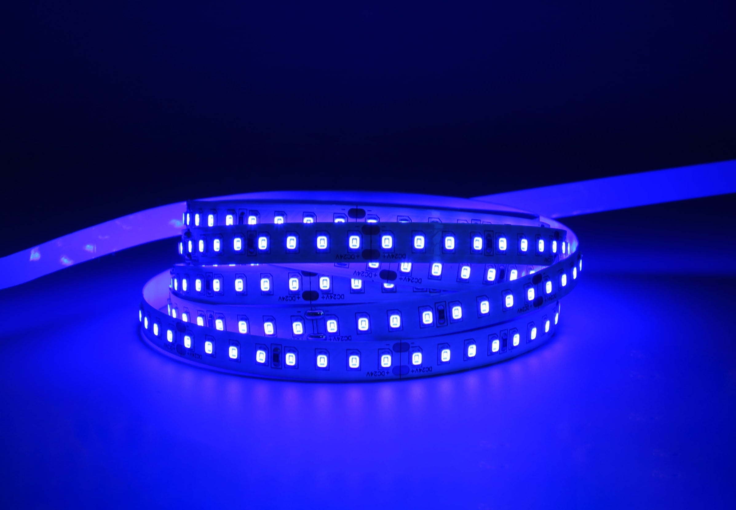 YUJILEDS® Blue LED Flexible Strip -128 LEDs/m - 5m/Reel